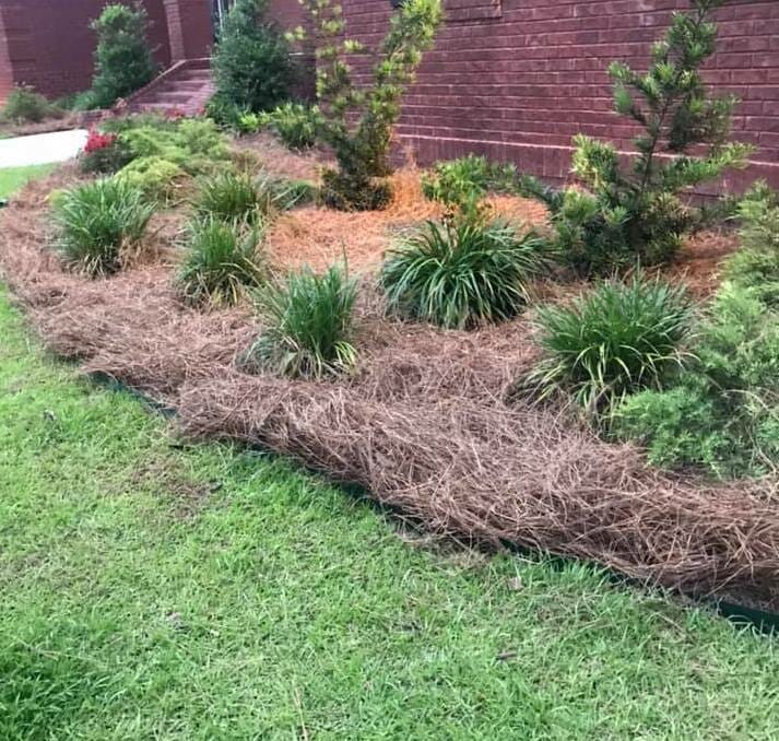 Using Straw To Cover Grass Seeds Plus Alternatives Lawn Holic