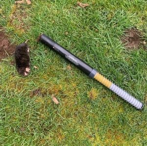 The Best Mole Traps 2025