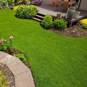 Should You Plant A Micro Clover Lawn? The Pros And Cons.