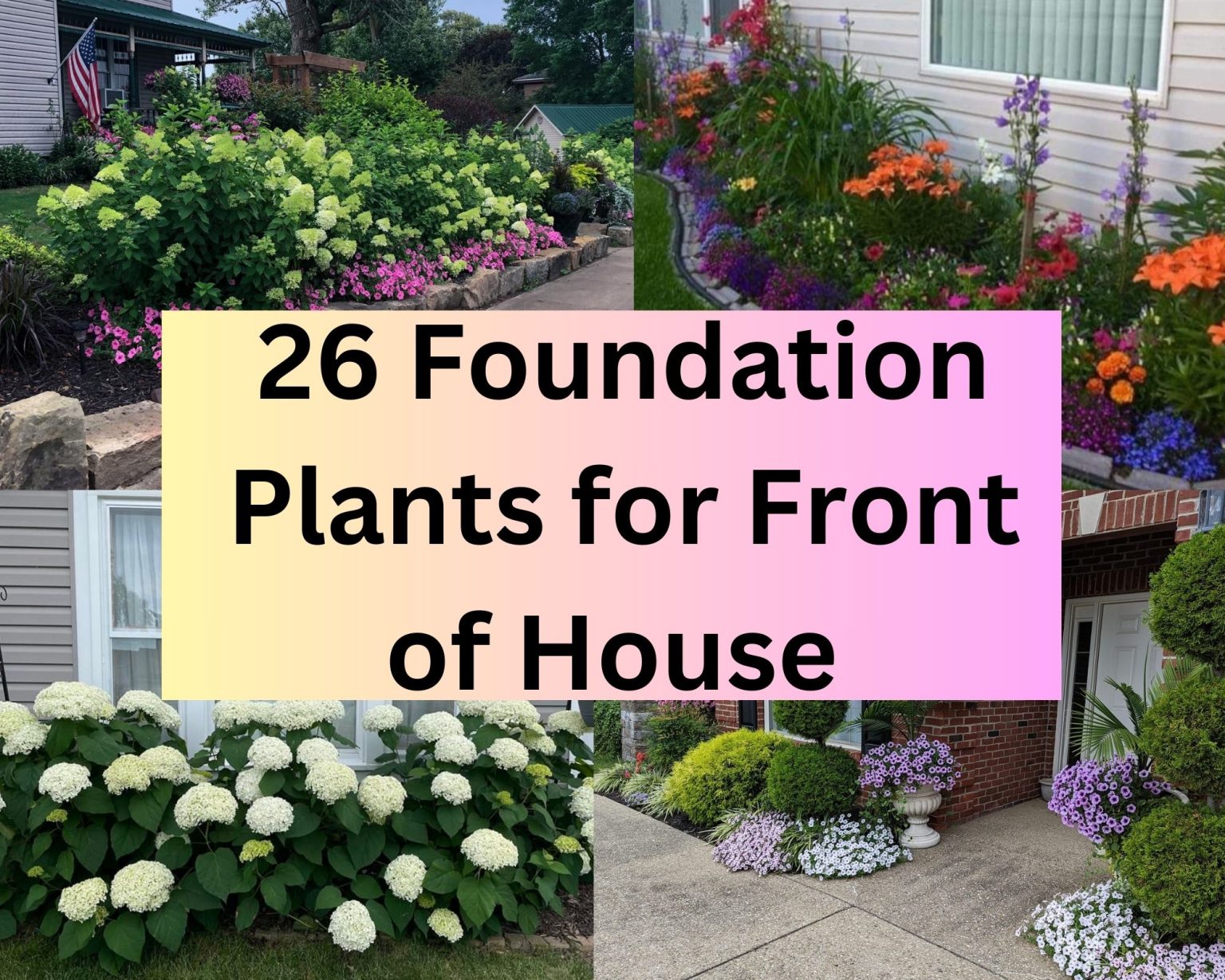 26 Best Foundation Plants For The Front Of Your House
