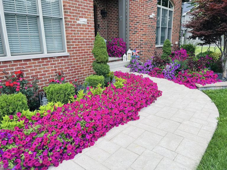 26 Best Foundation Plants For The Front Of Your House