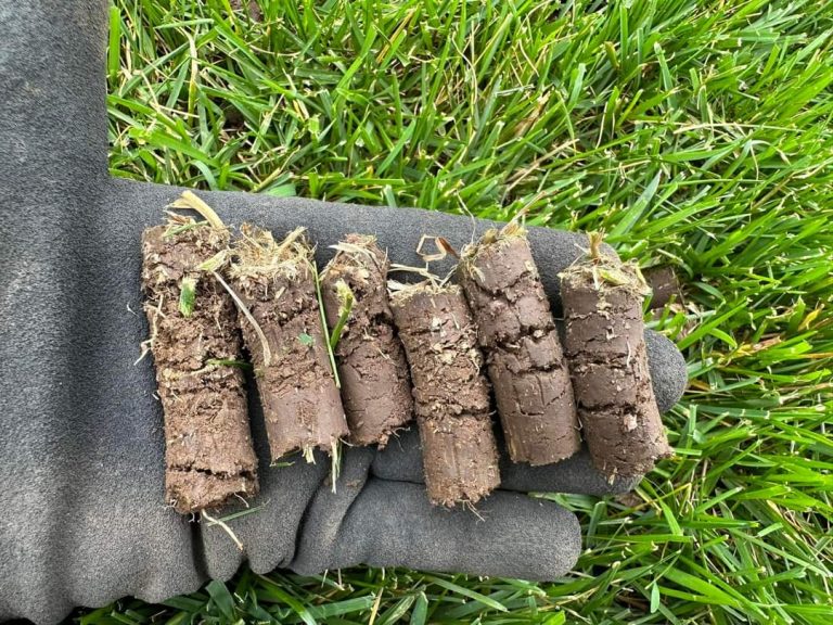 How To Fix Yard Drainage Issues