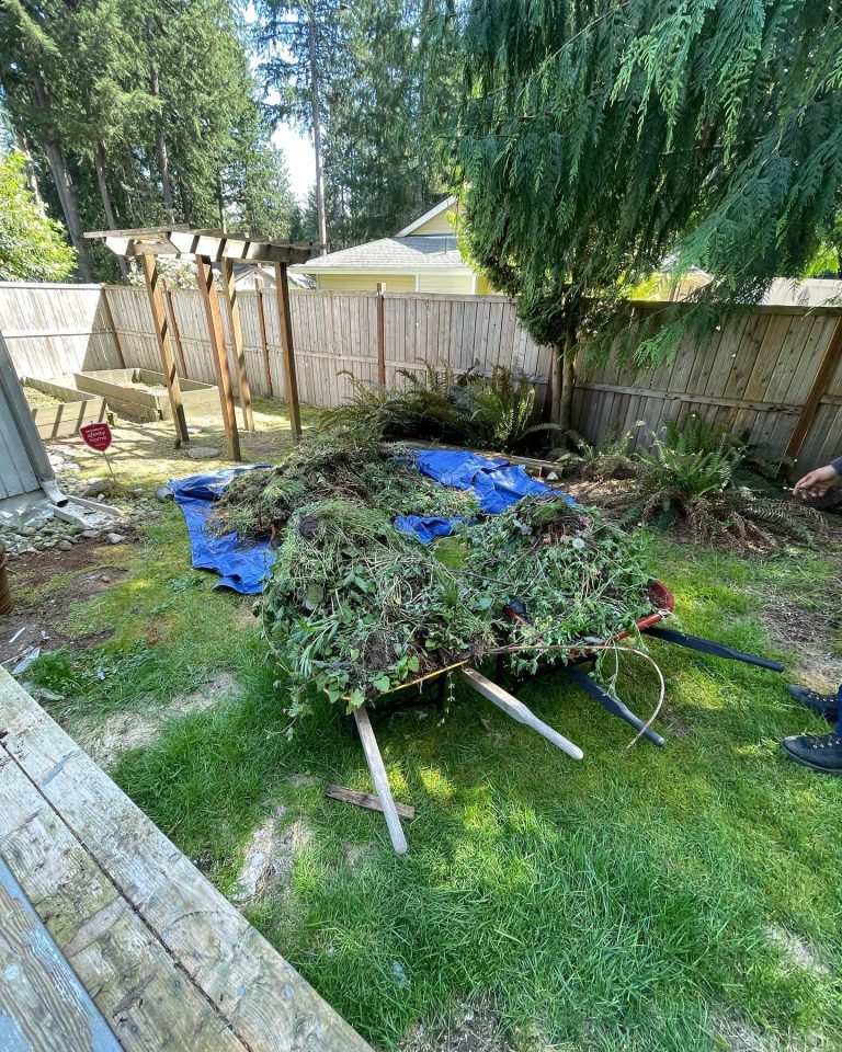 How to Get Rid of Yard Waste