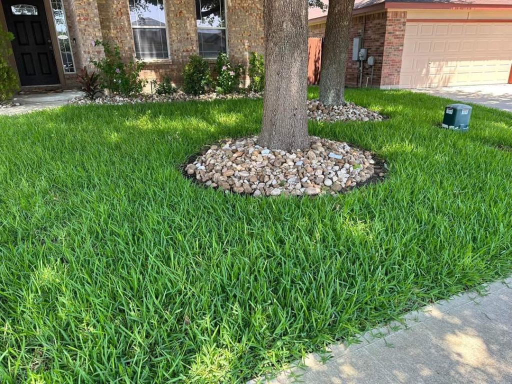 How To Get A Lush Green Lawn Naturally