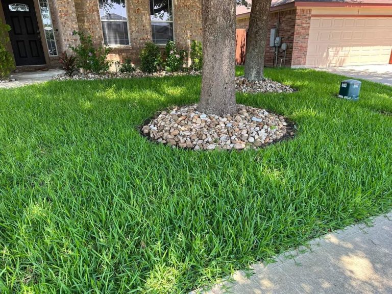 How To Get A Lush Green Lawn Naturally