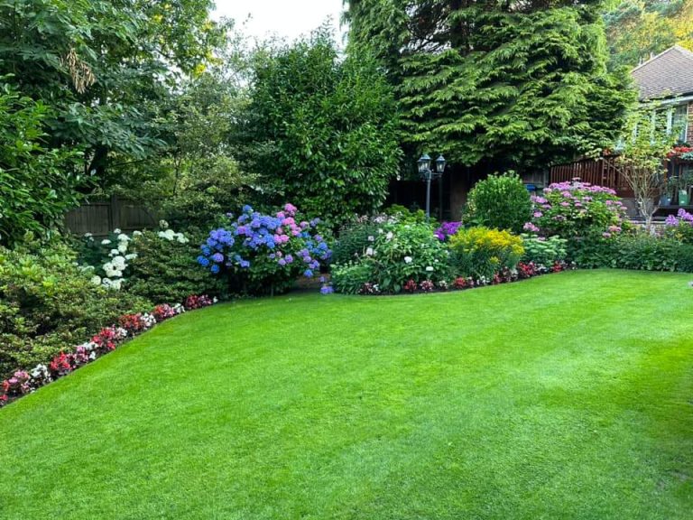 20 Front Yard Landscaping Ideas