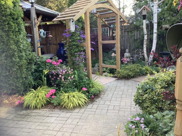 How To Fix A Muddy Backyard