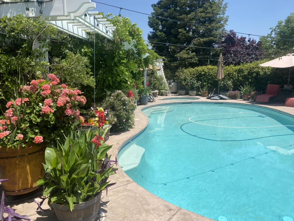 13 Cheap No Grass Backyard Ideas