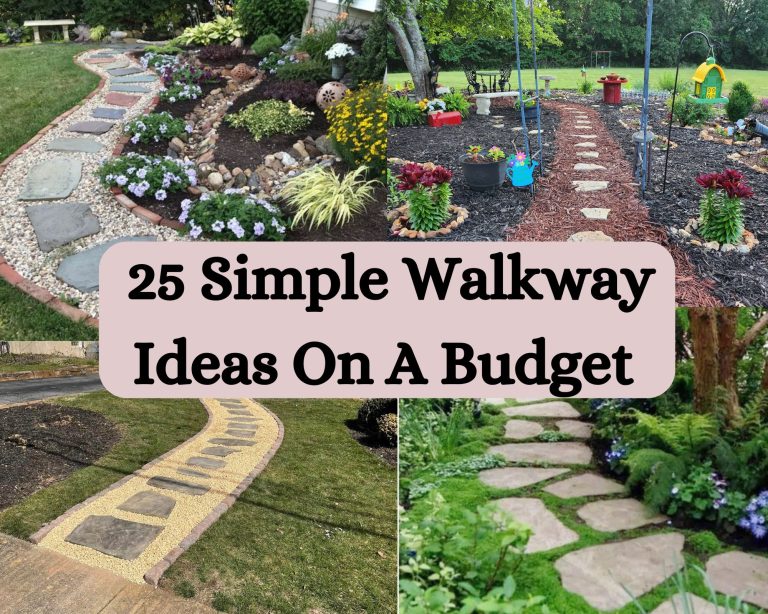 25 Walkway Ideas You Can DIY At Home On A Budget