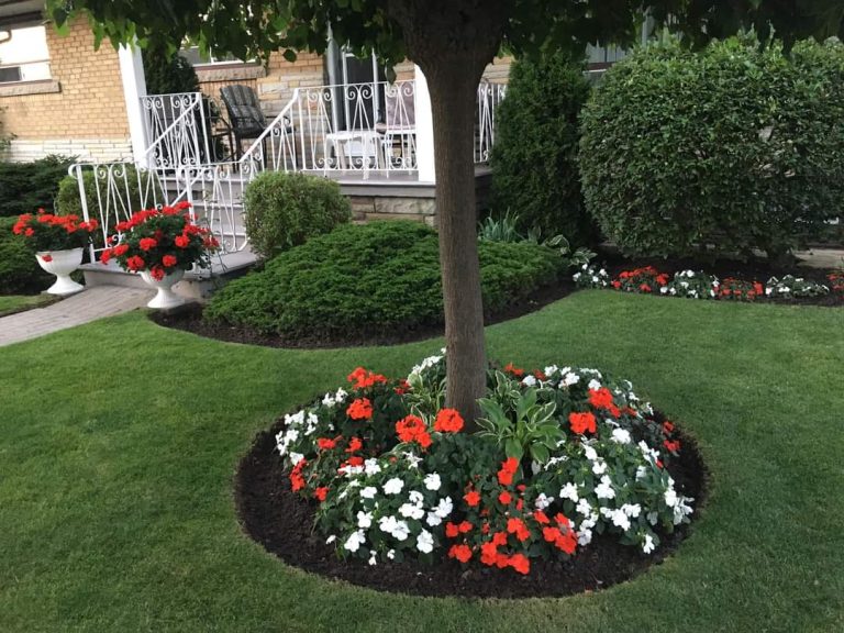 15 Simple Flower Bed Ideas For Front Of House