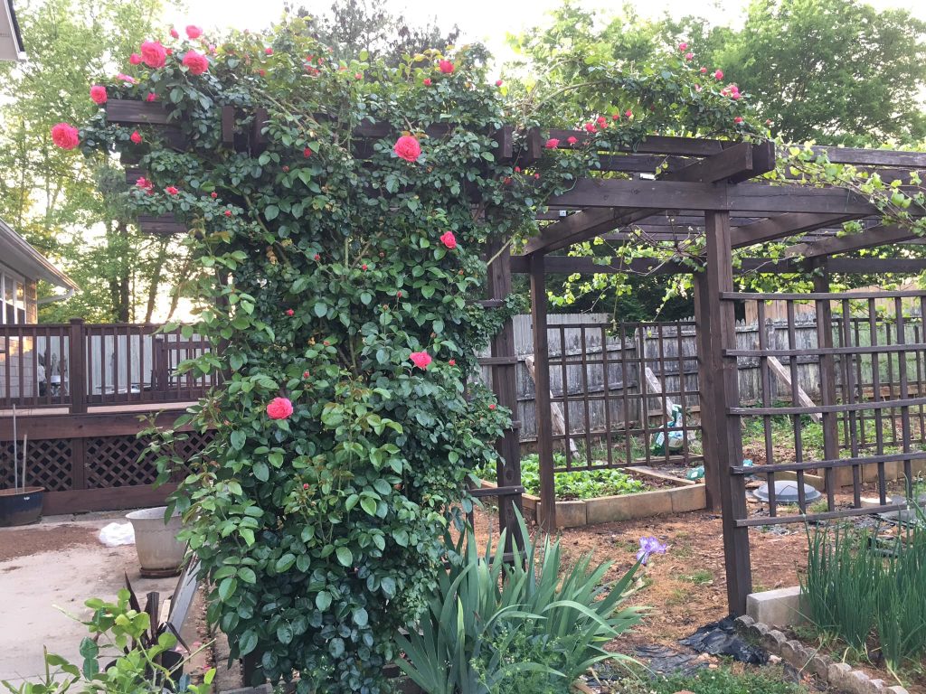 15 Cheap Shade Ideas For Backyard And Patio