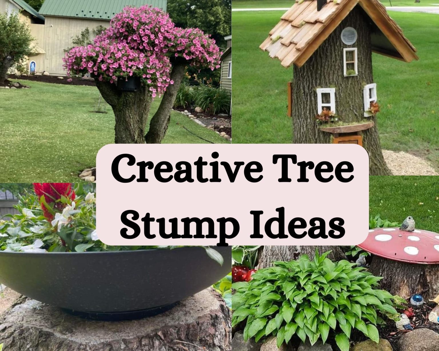 12 Creative Outdoor Tree Stump Ideas