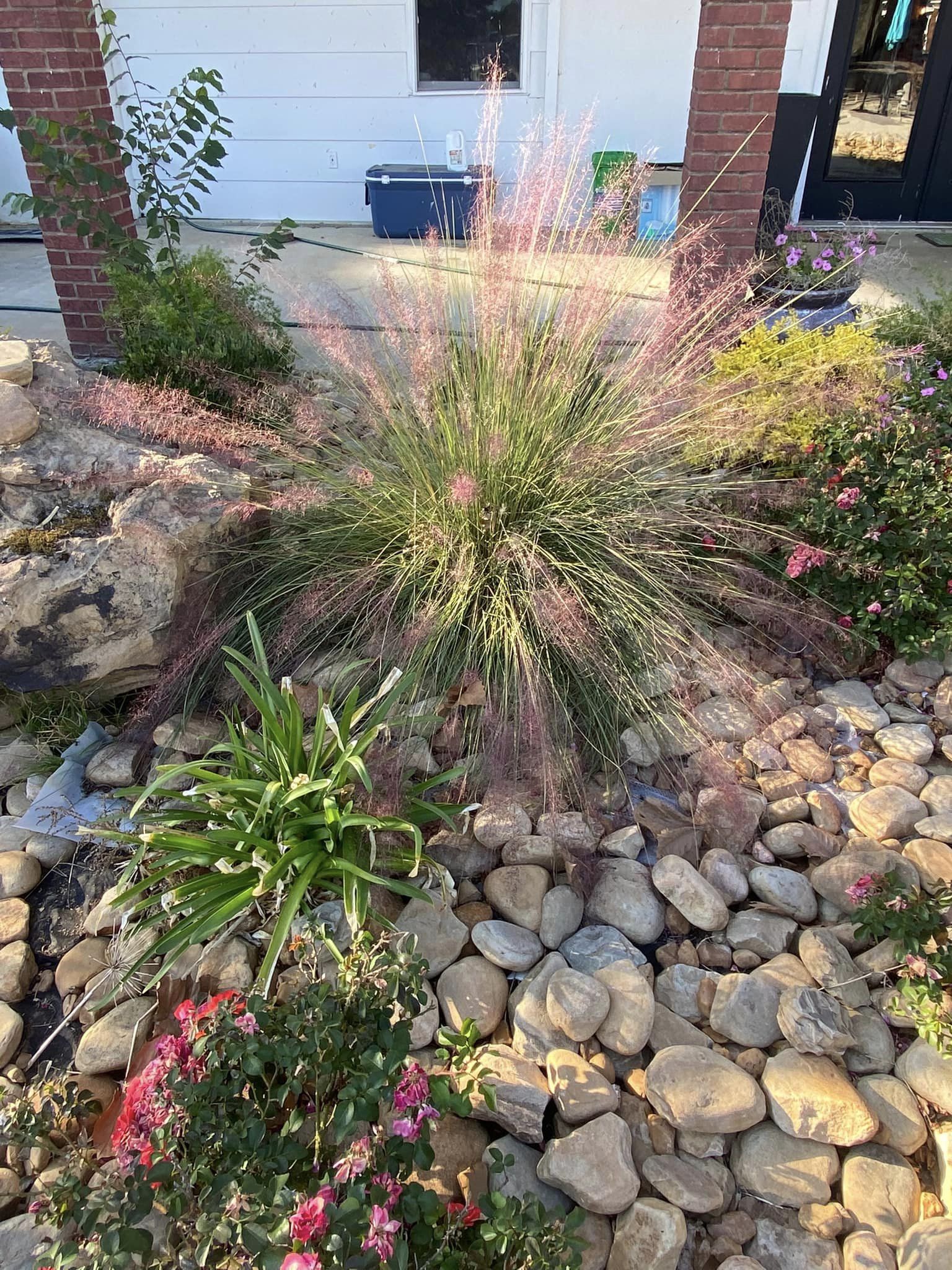 20 Low-Maintenance Full Sun Perennials For Front Yard 20 Low-Maintenance Full Sun Perennials For Front Yard