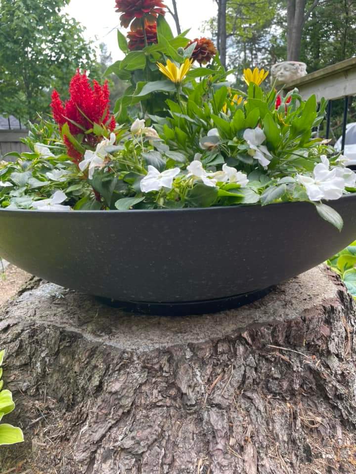 12 Creative Tree Stump Ideas For Yard