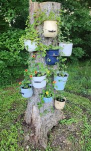 12 Creative Outdoor Tree Stump Ideas