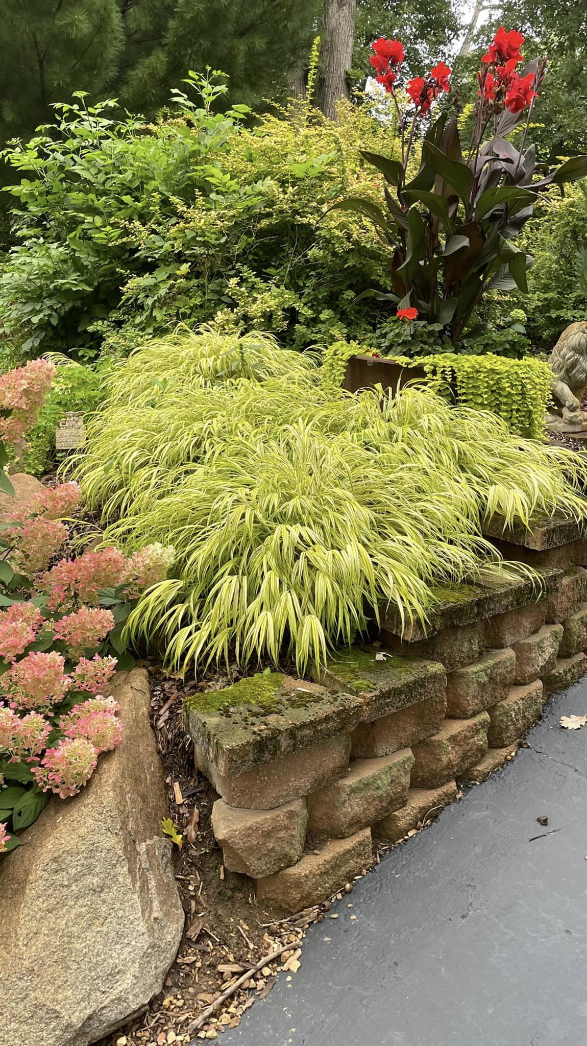 11 Simple Xeriscape Ideas On A Budget