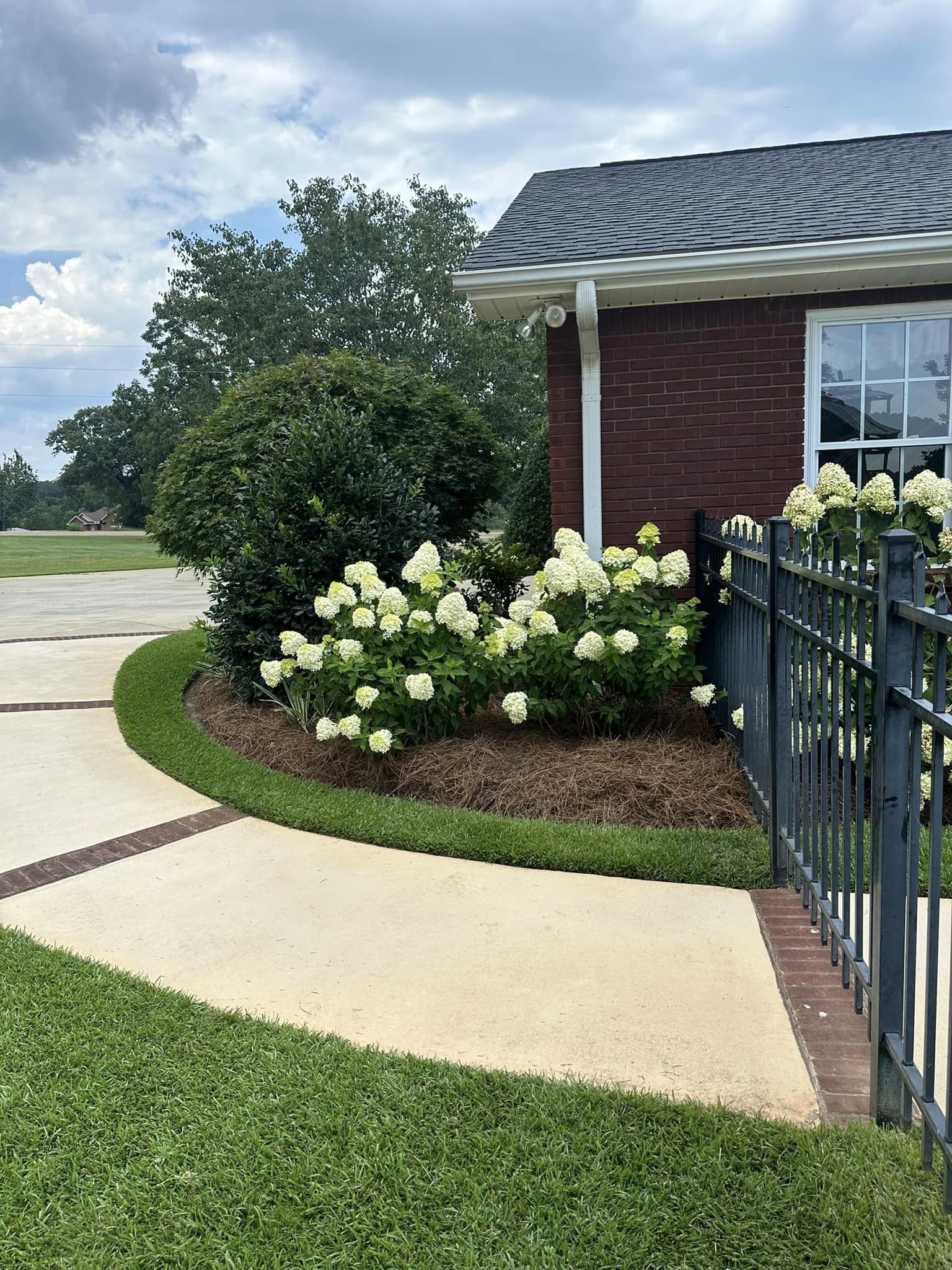 How To Kill Grass In Flower Beds Without Killing Plants Naturally