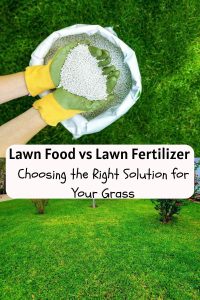 Lawn Food vs Lawn Fertilizer: Choosing the Right Solution for Your Grass
