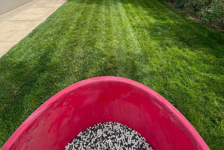 Lawn Food vs Lawn Fertilizer: Choosing the Right Solution for Your Grass