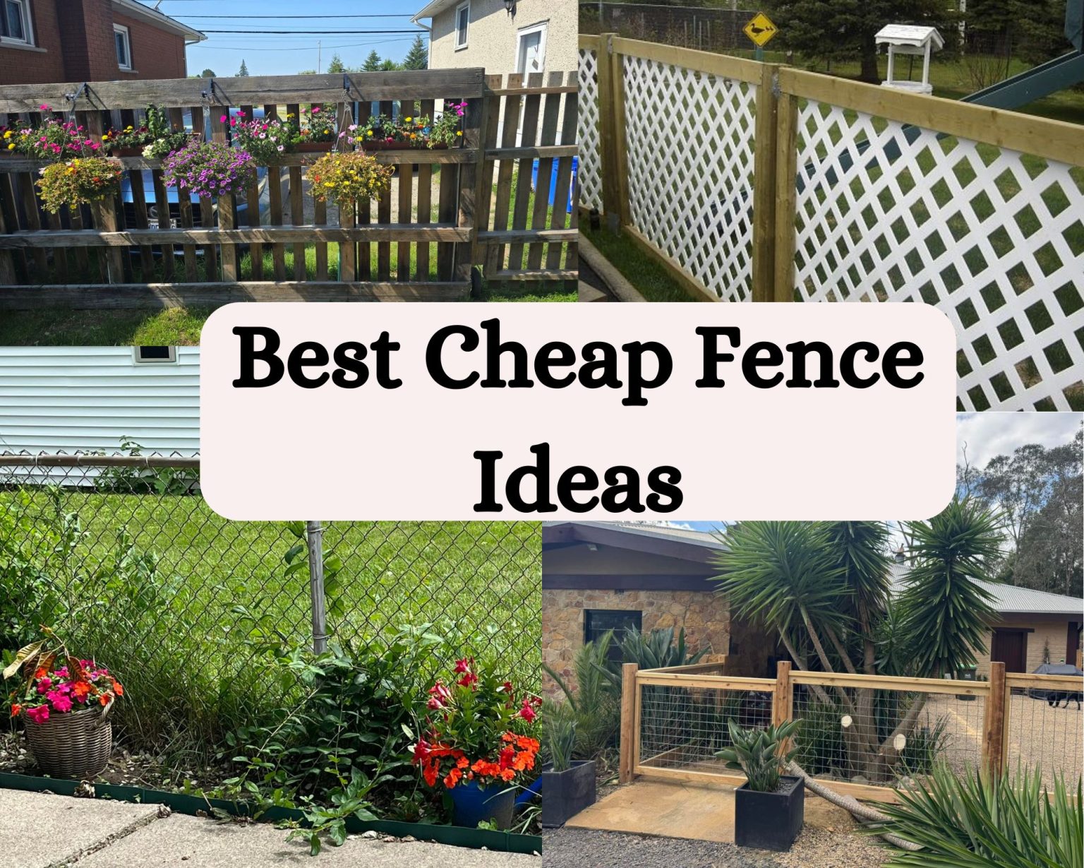 15 Best Cheap Fence Ideas