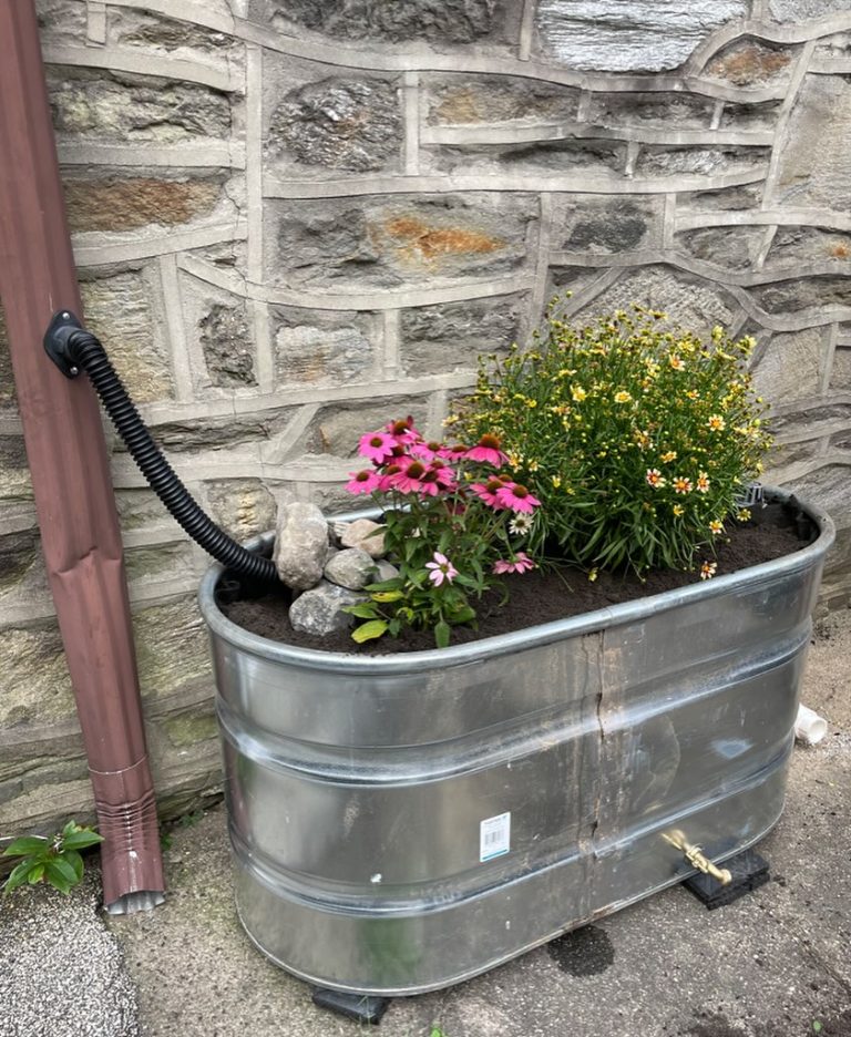 18 Best Downspout Drainage Ideas