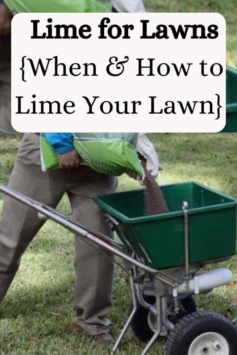 Lime for lawns {When and How to Lime Your Lawn}