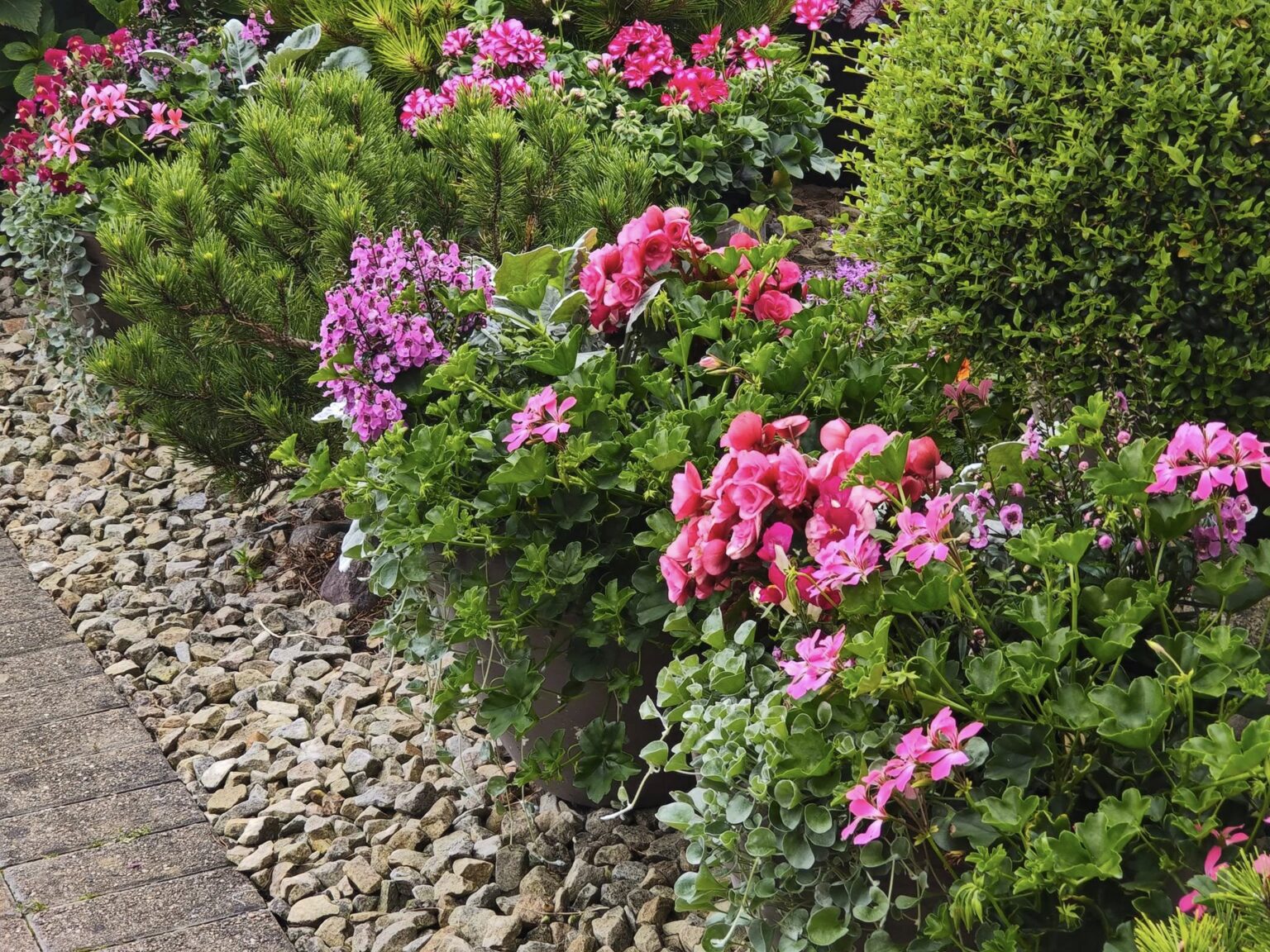 How to Layer Plants for Landscaping to Maximize Curb Appeal